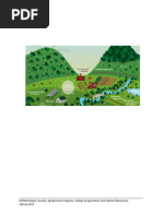 12 Field Guide - Philippine Beach Forest Species | PDF | Plants | Botany