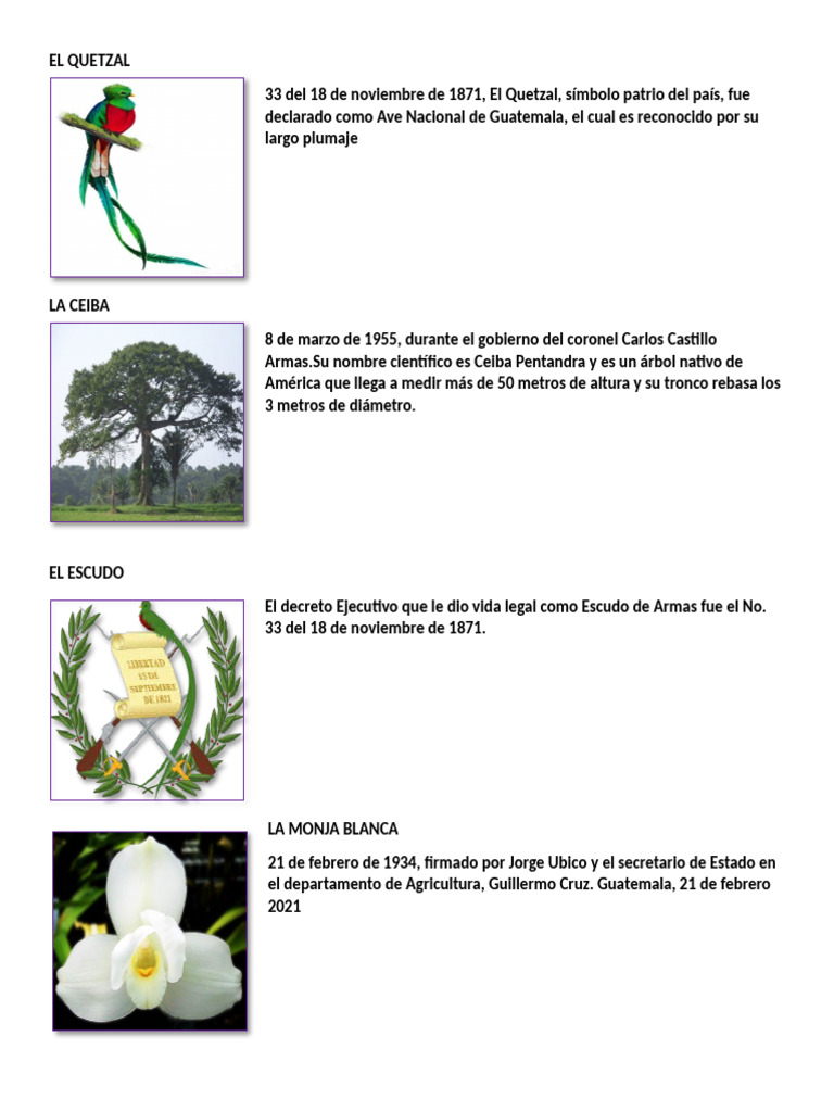 Los Simbolos Patrios | PDF