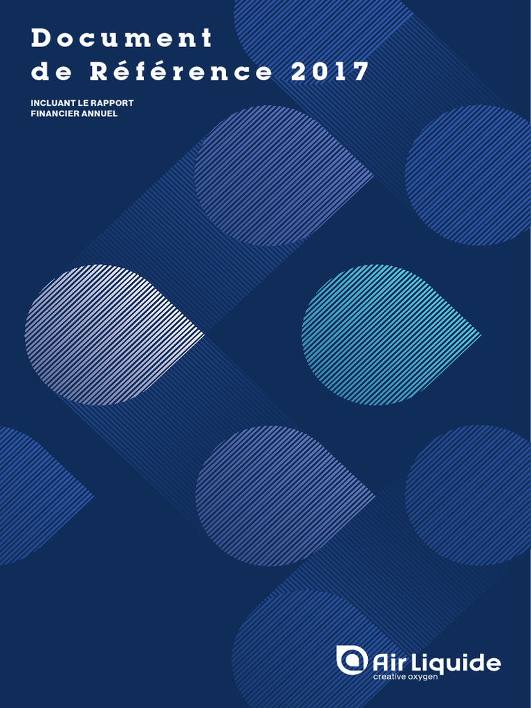 Air Liquide Document Reference 2017 | PDF