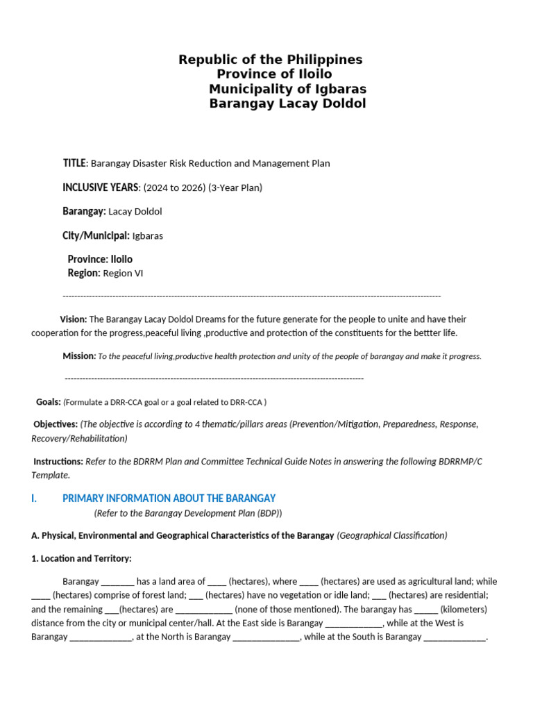 BDRRM Plan Template Final | PDF