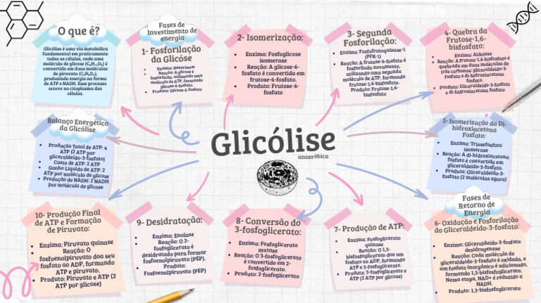 Mapa Mental de Glicólise | PDF