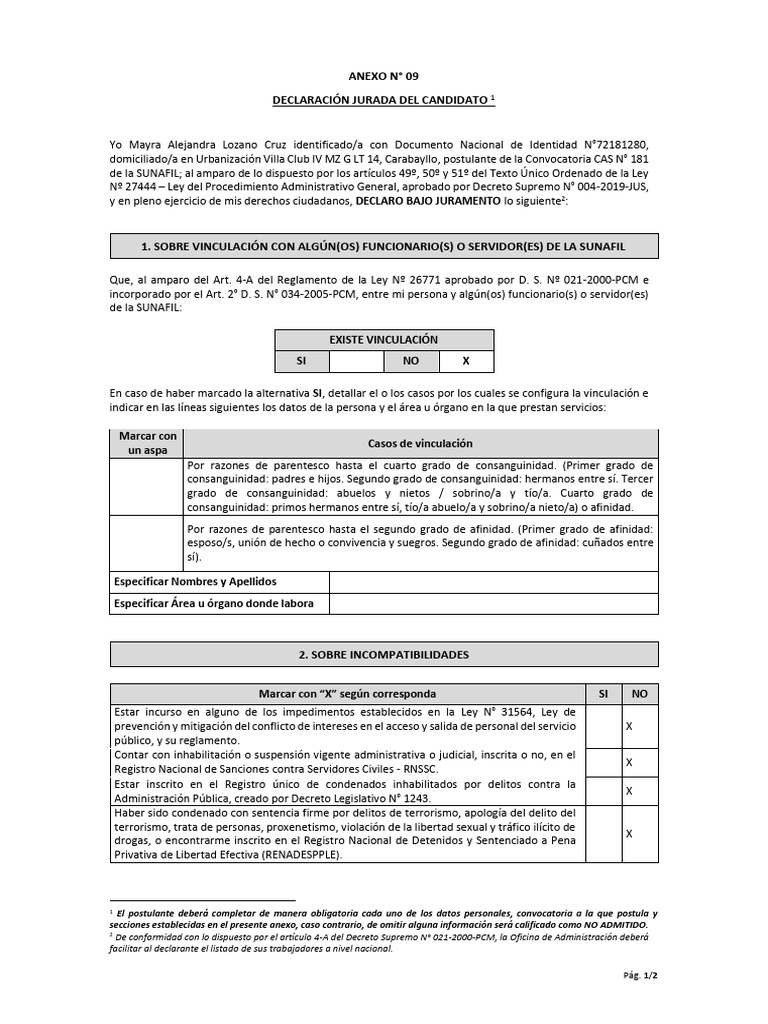 ANEXO #09 Sunafil | PDF