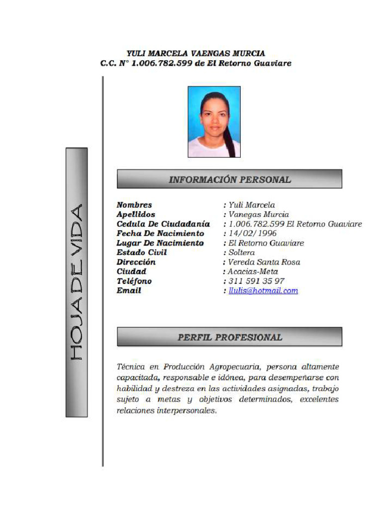 Yuli Marcela Vanegas Murcia | PDF