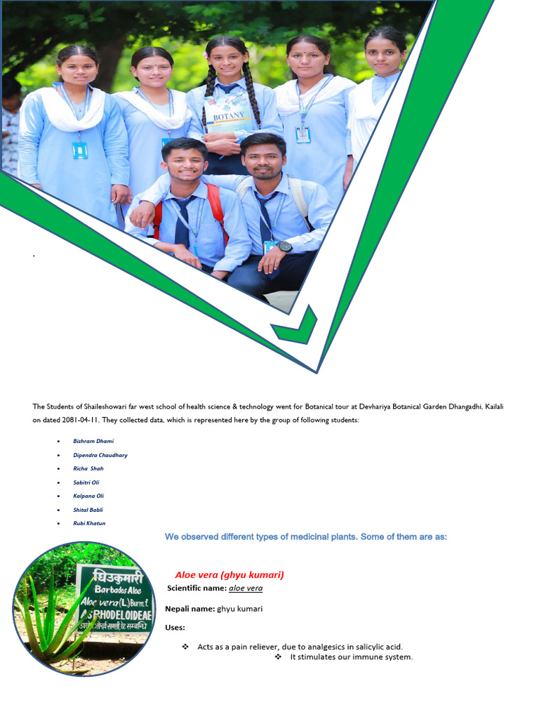 Document Final Print Pdf