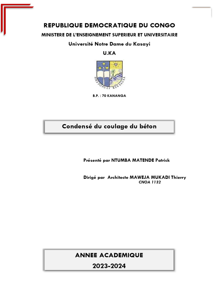Rapport Patrick Matende | PDF