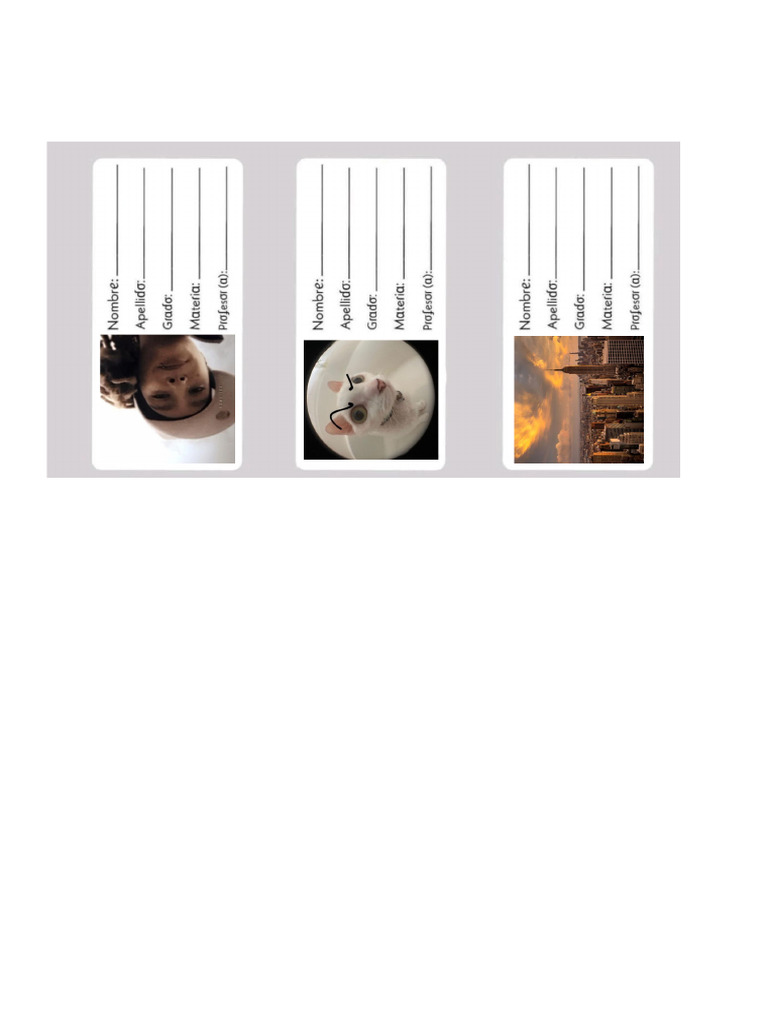 Jsjs Etiquetas | PDF