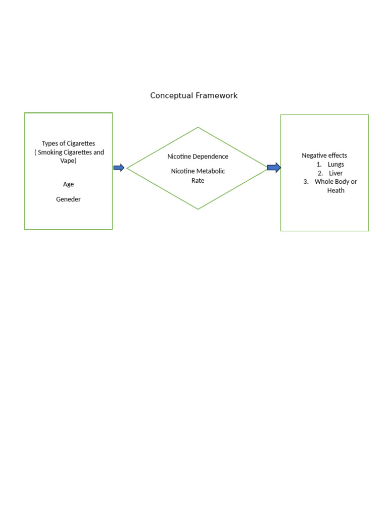 Conceptual Framework | PDF