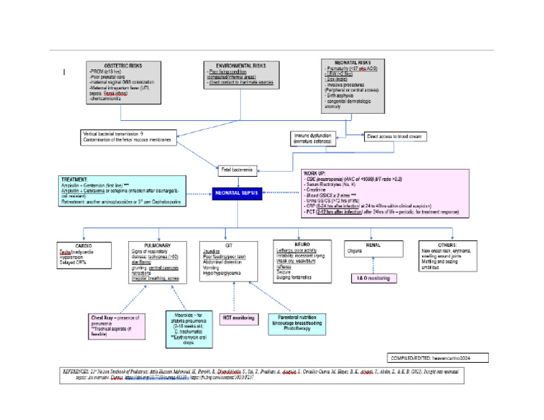 Neonatal Sepsis Concept Map 2 PDF | PDF