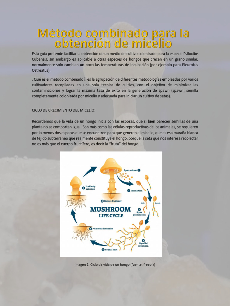 Método Combinado Spawn | PDF