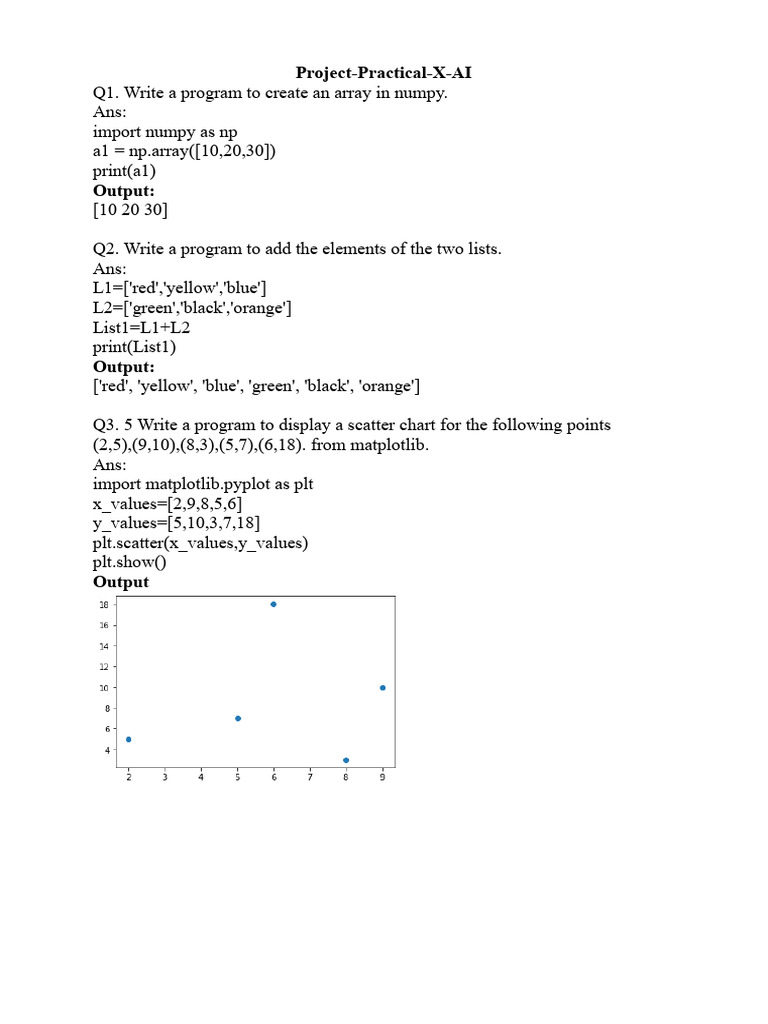 Class X Practical | PDF