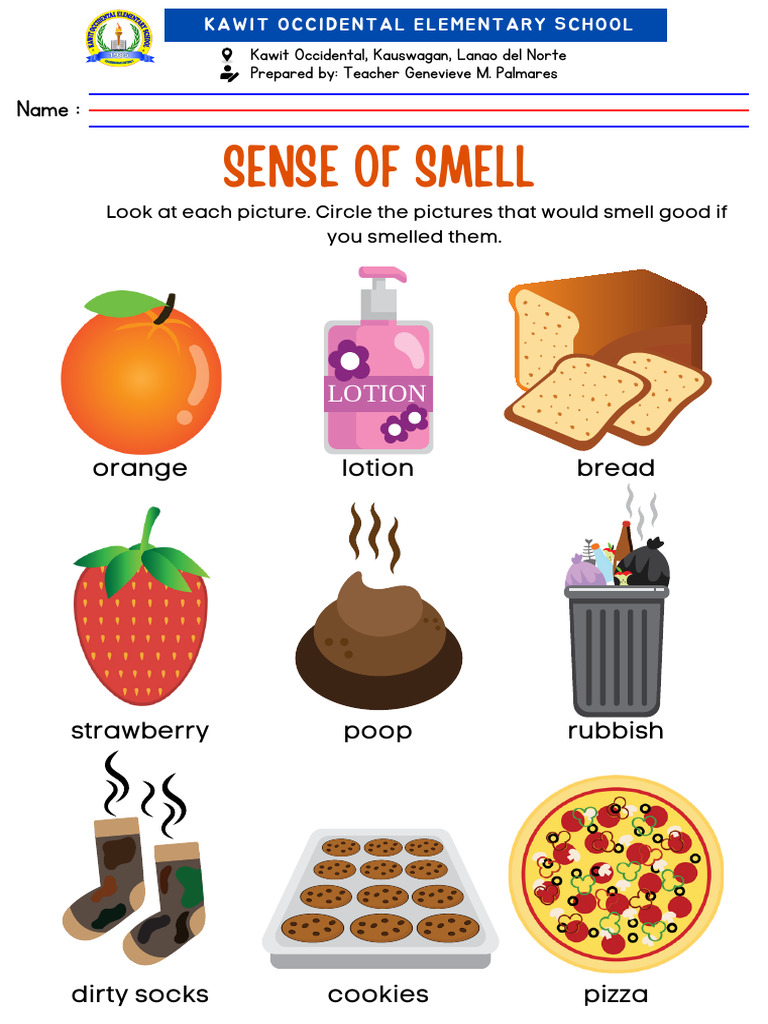 Science Activity - Sense of Smell Worksheet For Kids | PDF