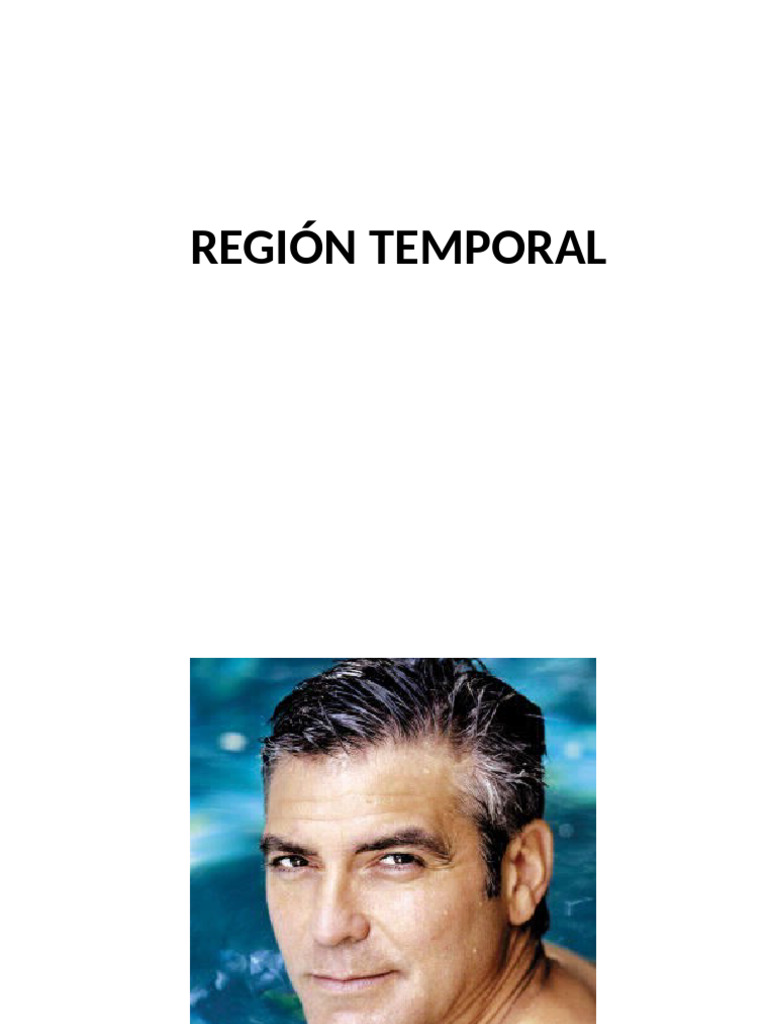Anatomía de La Fosa Temporal | PDF | Ciencias sociales