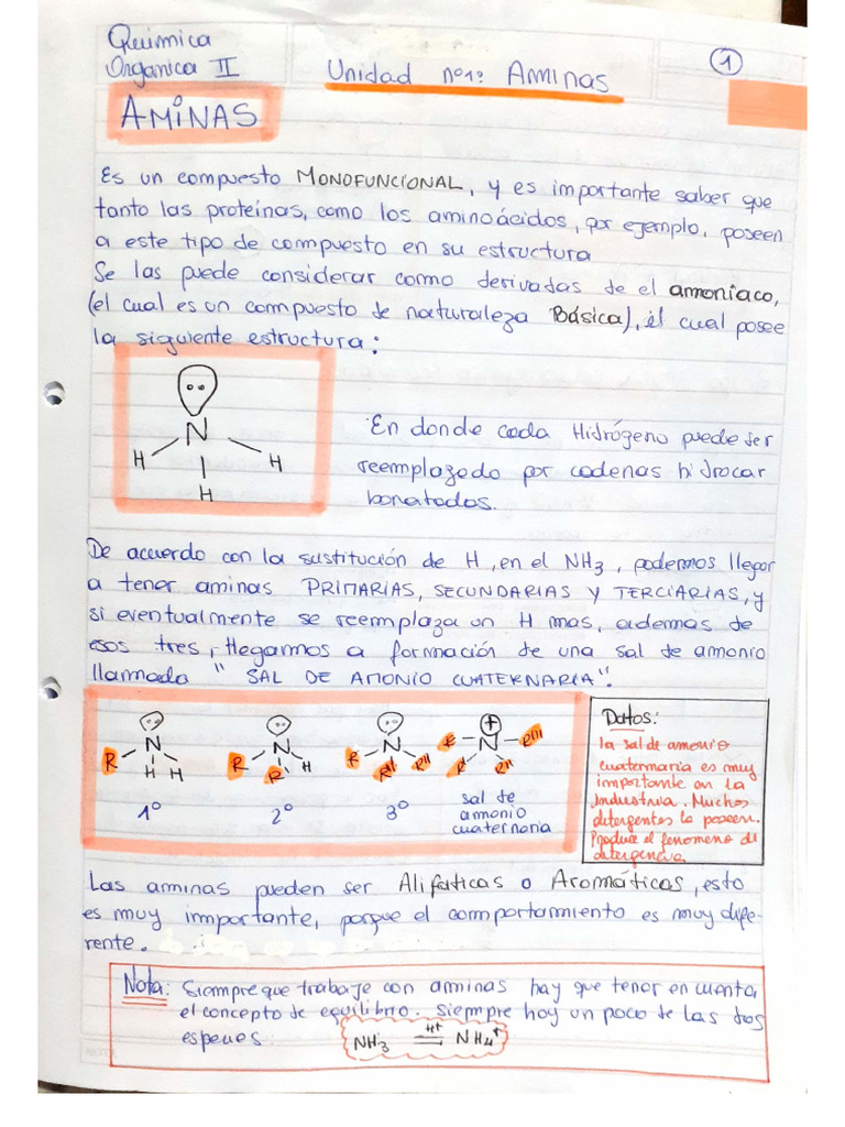 U1 QO2 (Teoria) | PDF