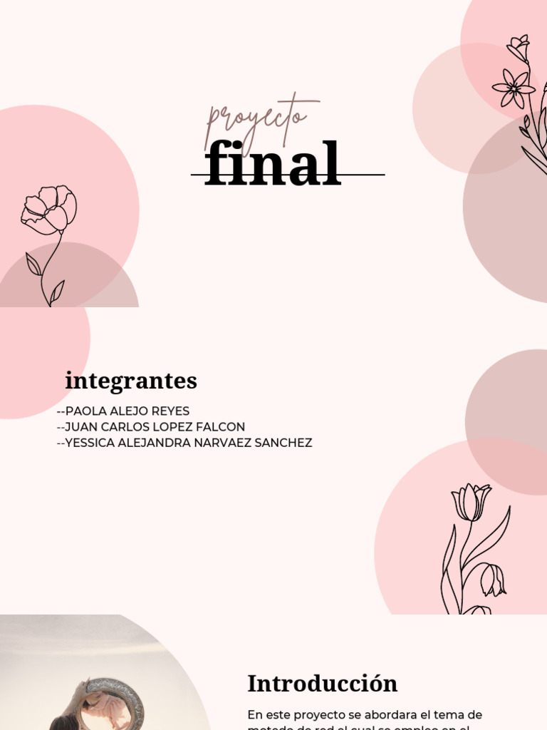 Proyecto Final Equipo 10 | PDF