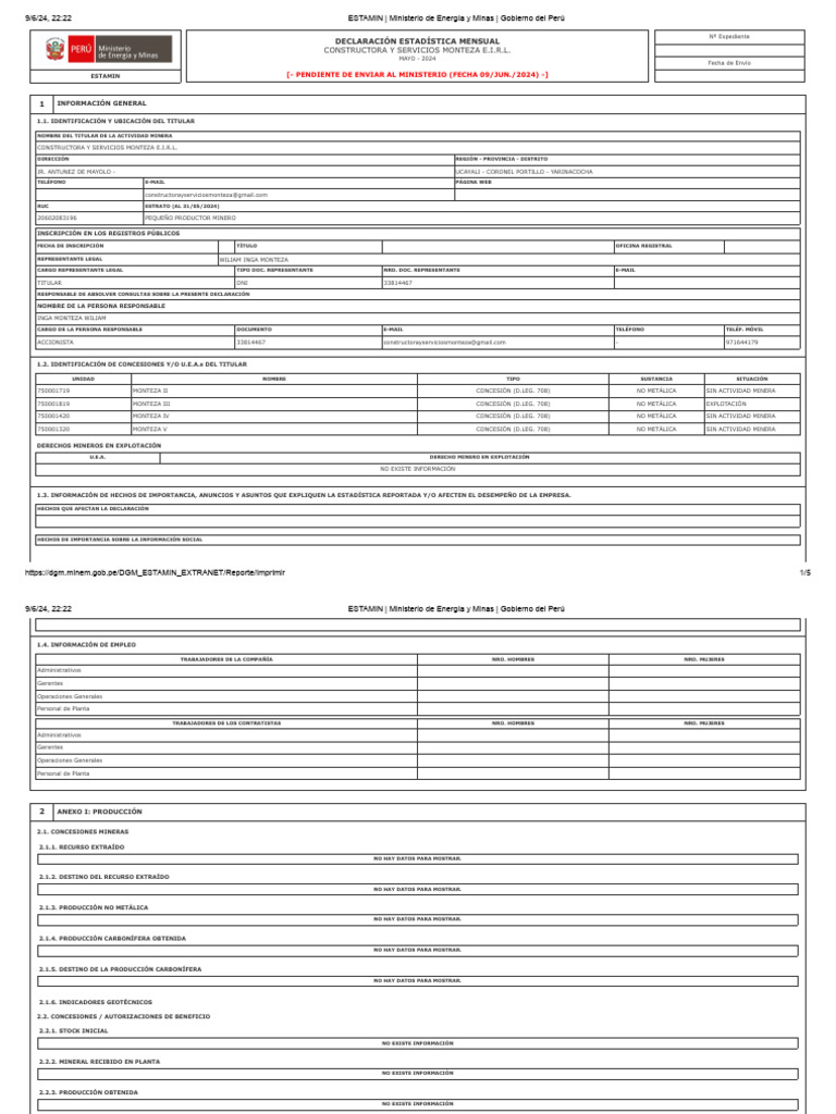 ESTAMIN - Ministerio de Energía y Minas - Gobierno Del Perú-Reporte ...