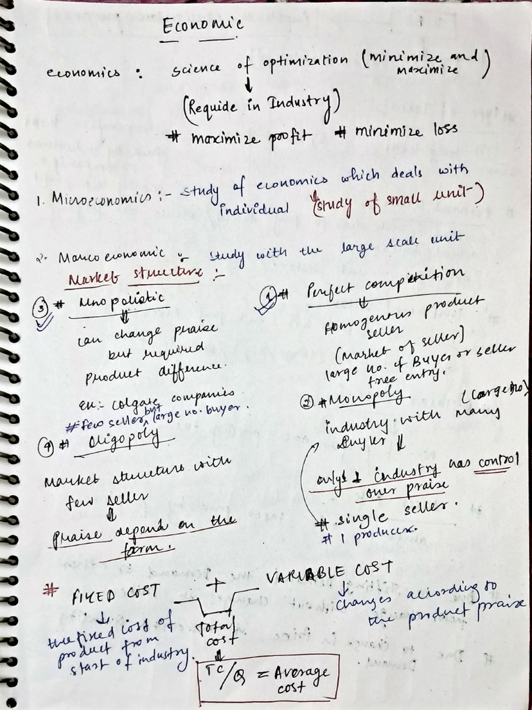 Economic Notes | PDF
