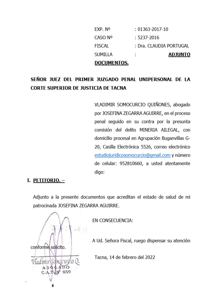 Adjunto Documentos | PDF