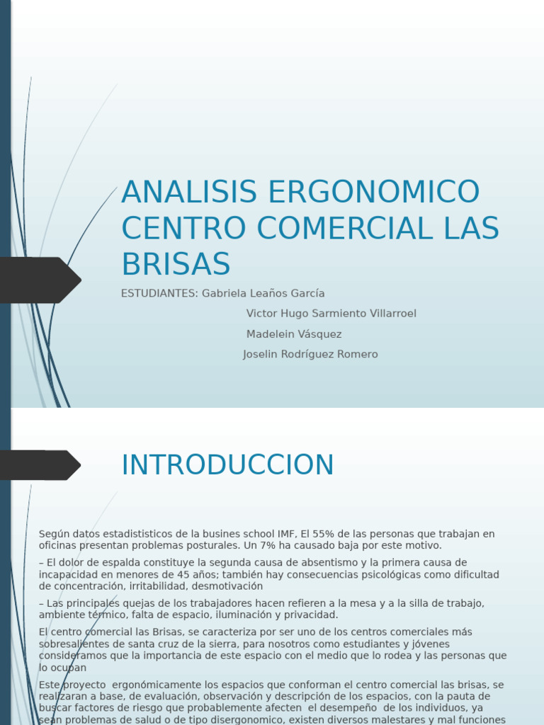 Ergonomia Final 2 | PDF