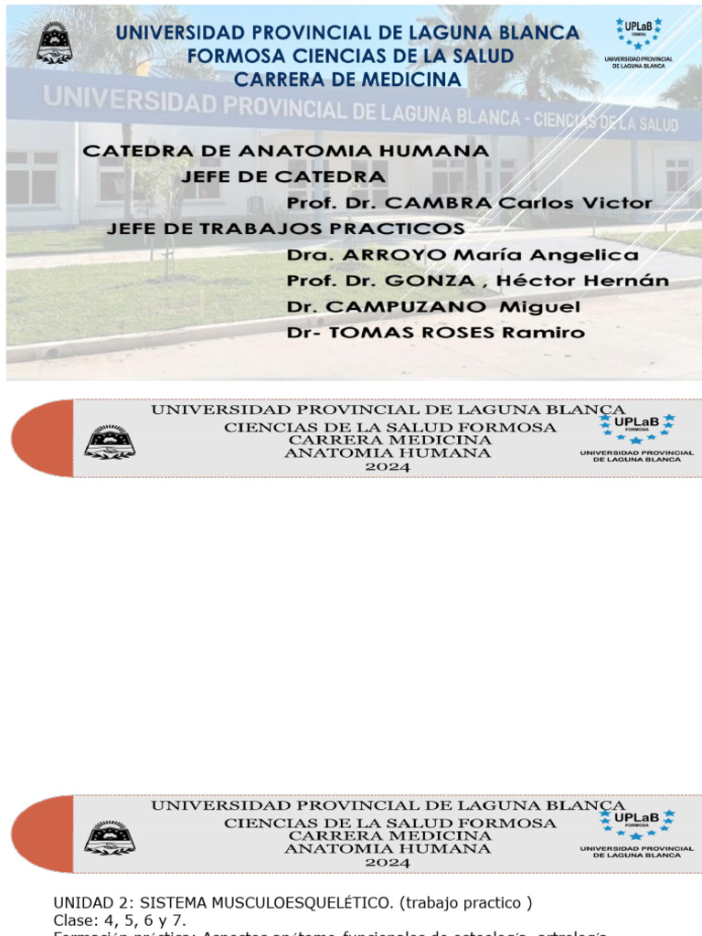 Anatomia - Unidad 2 Articulaciones Uplab | PDF