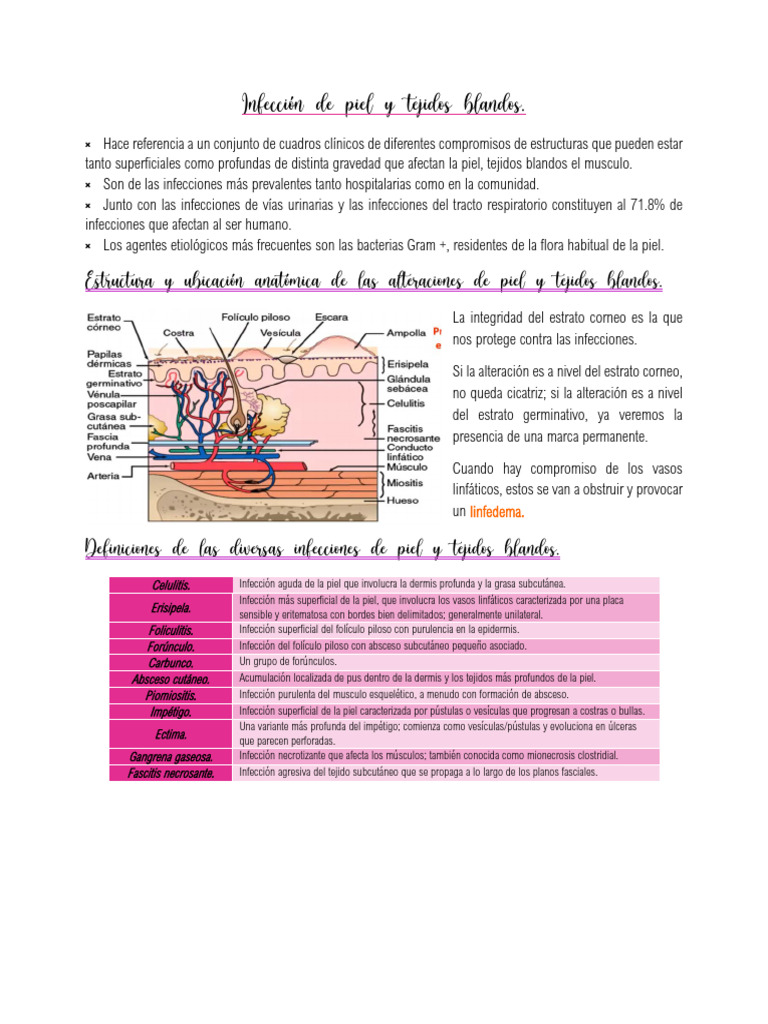 Infección de Piel y Tejidos Blandos | PDF | Staphylococcus Aureus | Especialidades Medicas