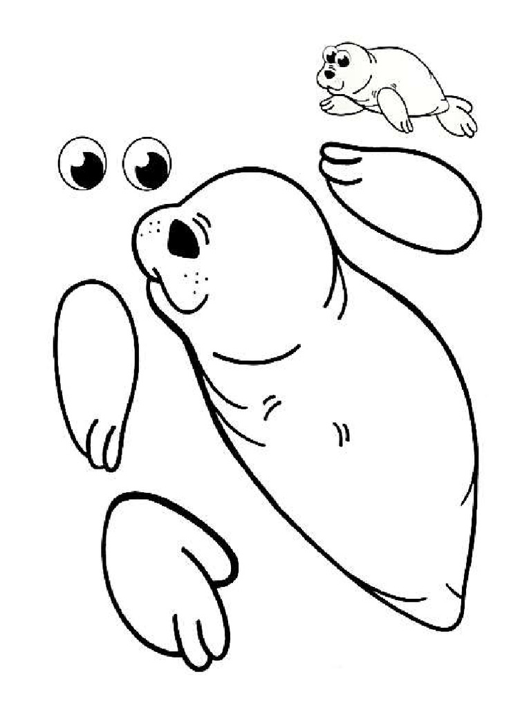 FOCA | PDF