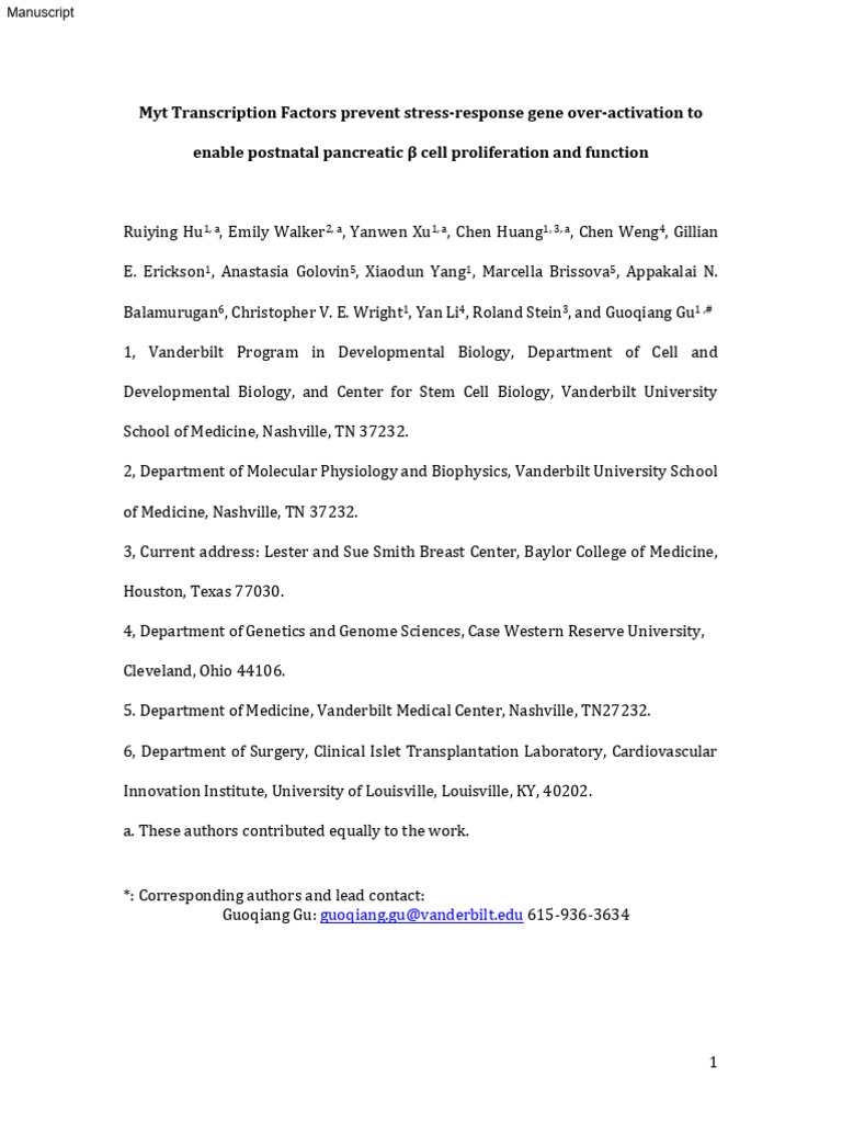 Book of Mtt1.Full - PDF - 450 | PDF