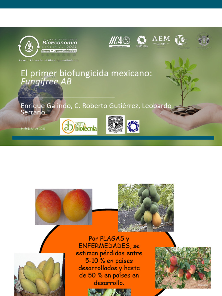 El Primer Biofungicida Mexicano: Fungifree AB | PDF | Control biológico ...