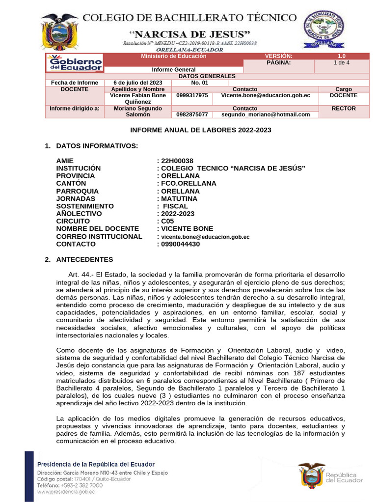 Modelo Informe Final TDU | PDF