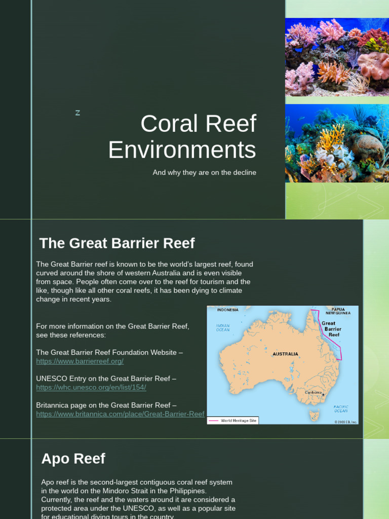 Coral Reef Study (Term 3 2022) | PDF | Coral Reef | Coral