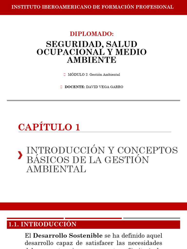 Seguridad, Salud Ocupacional Y Medio Ambiente: Diplomado | PDF