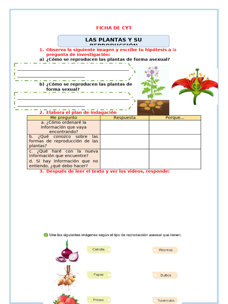 CYT FICHA REPRODUCCIÓN DE LAS PLANTAS | PDF