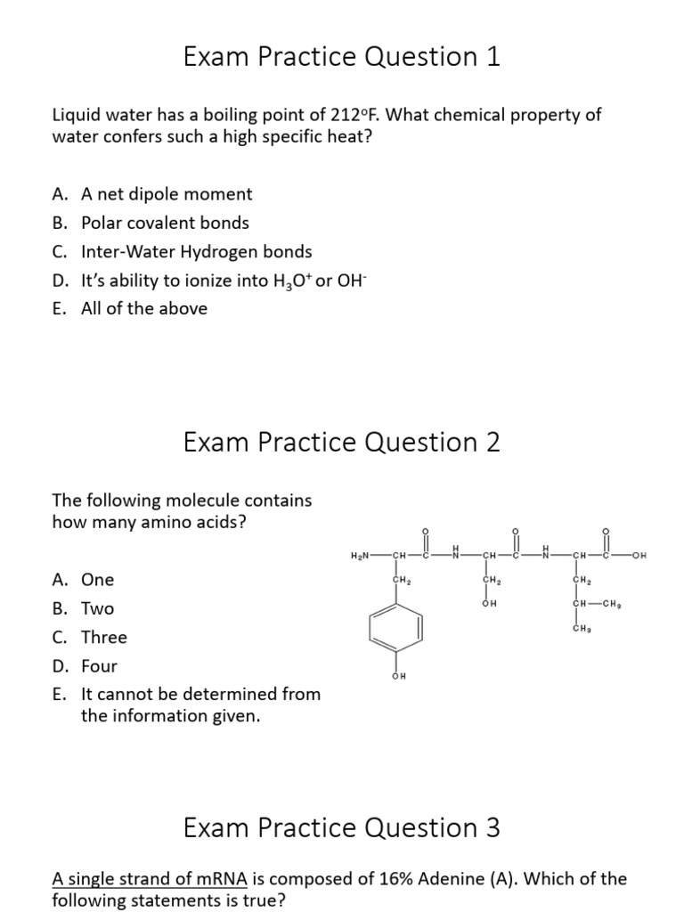 Sample Exam Questions-Exam 1-1 | PDF