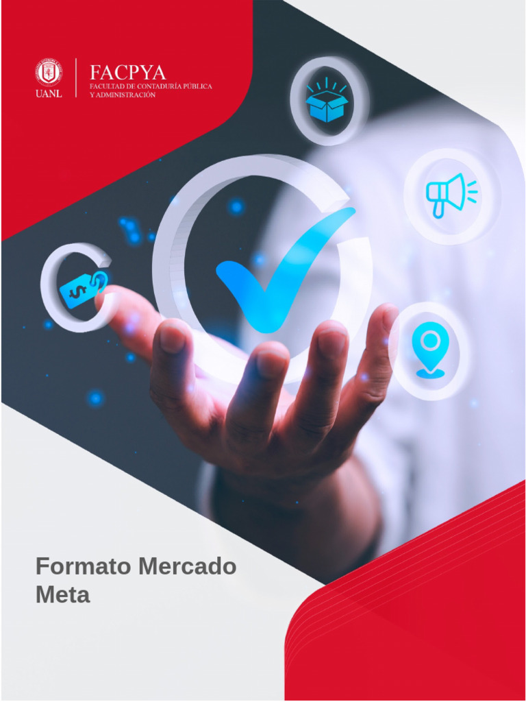 Formato Mercado Meta | PDF