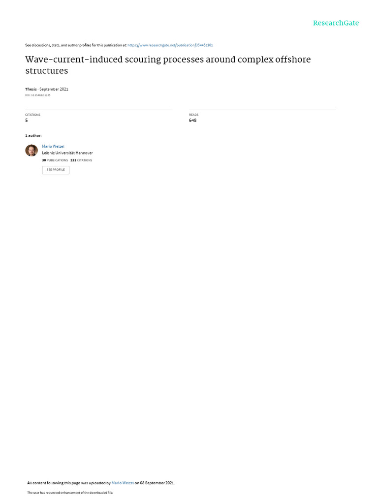 Dissertation Welzel 2020 Final | PDF