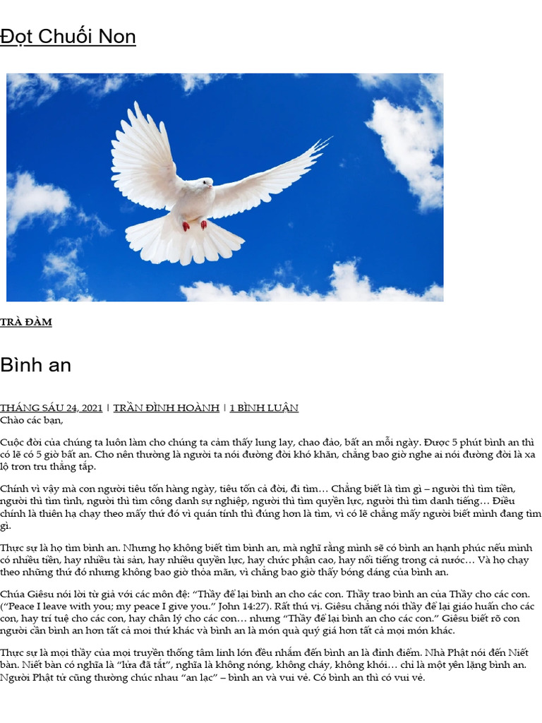 Tim Binh An - DCN | PDF