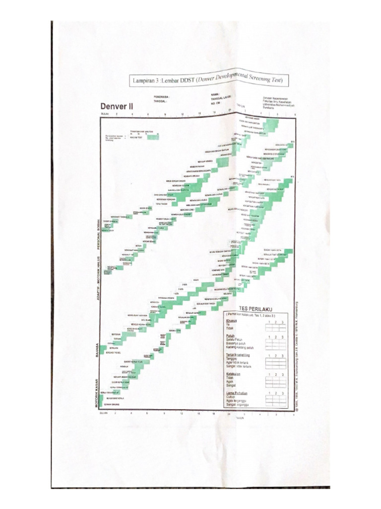 DDST Pada Anak (Dwi Anita) | PDF