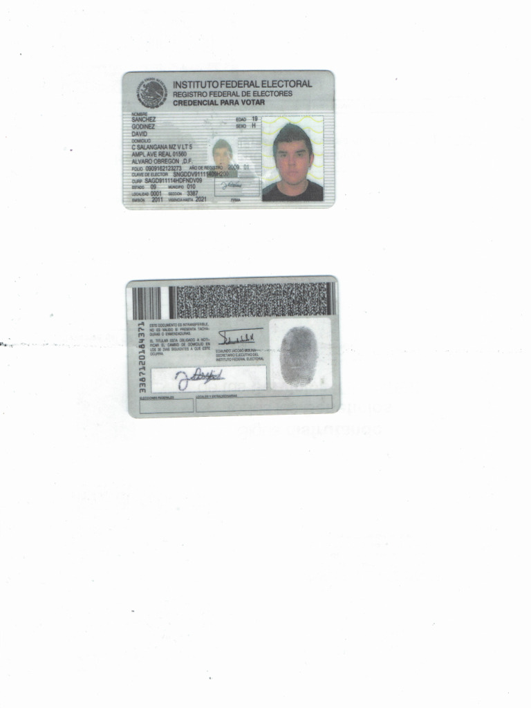 IFE David Factura Dinastia | PDF