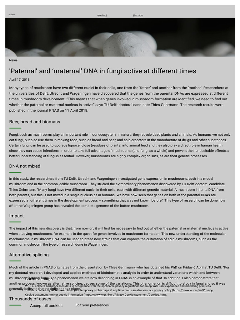 'Paternal' and Maternal' DNA in Fungi Active at D | PDF | Cell Nucleus ...