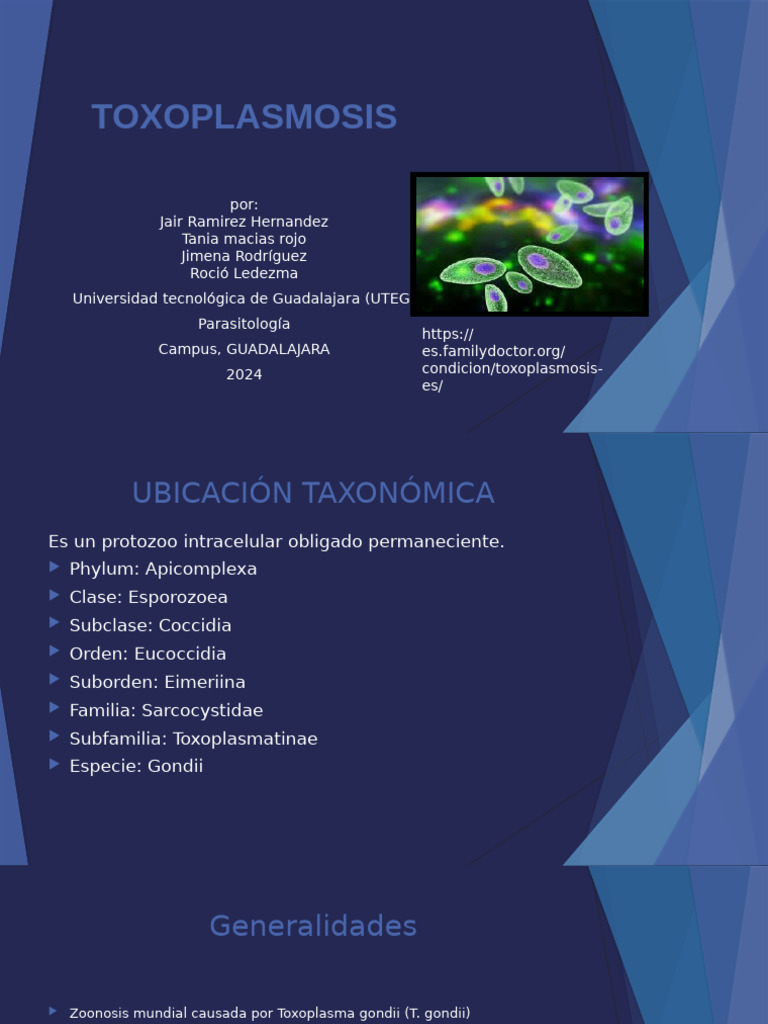 Toxoplasmosis Team 4 | PDF