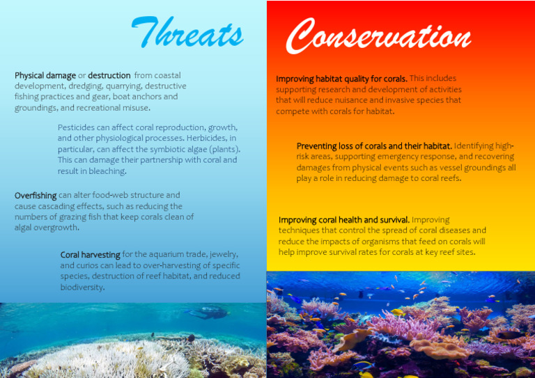 Science class 10 project | PDF