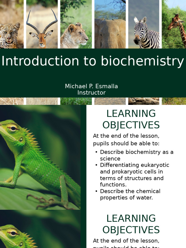 Introduction To BioChemistry | PDF