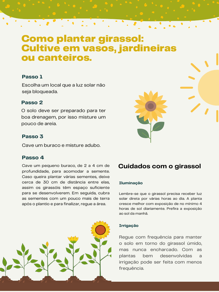 Guia de Plantio Do Girassol | PDF Guia de Plantio Do Girassol | PDF