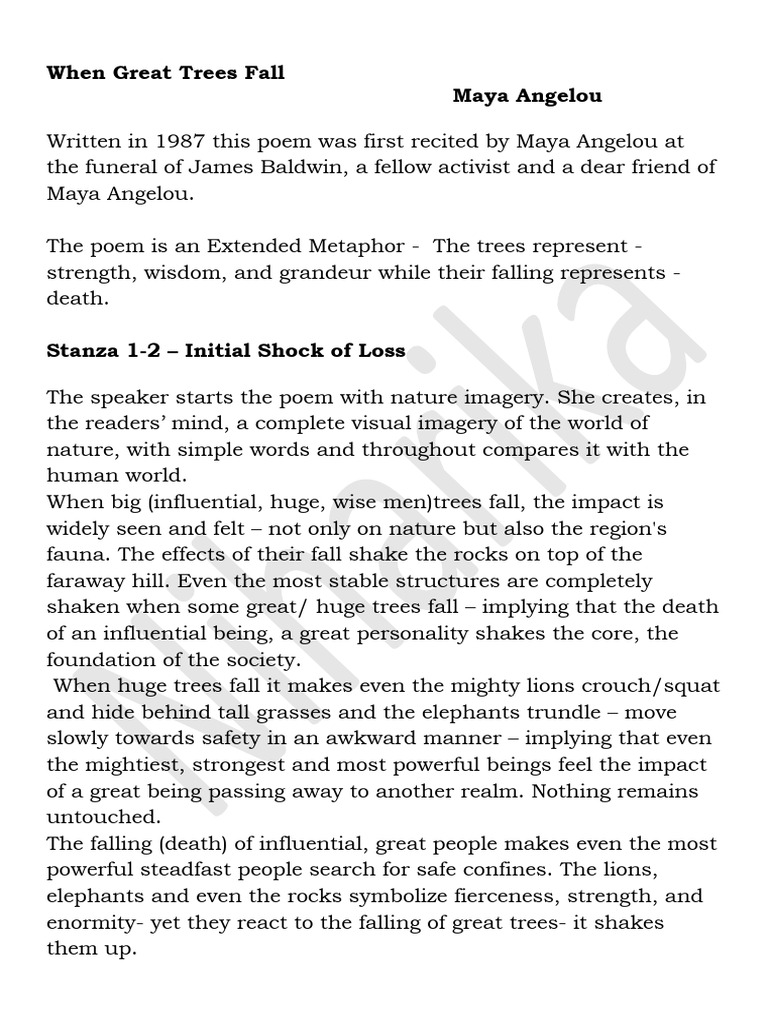 When Great Trees Fall | PDF | Grief