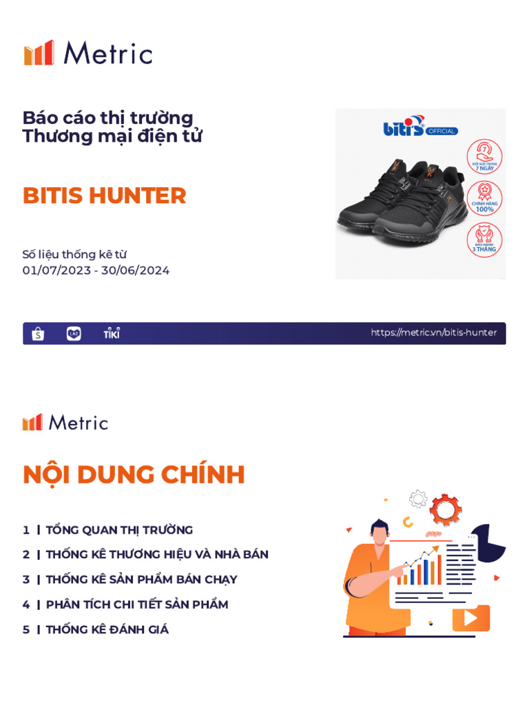 (Metric) Báo Cáo Bitis Hunter | PDF