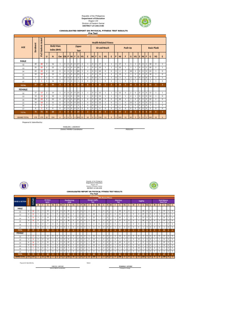 Revised Camantang Nhs Rpft Consolidation Report Template s.y. 2023 2024 ...