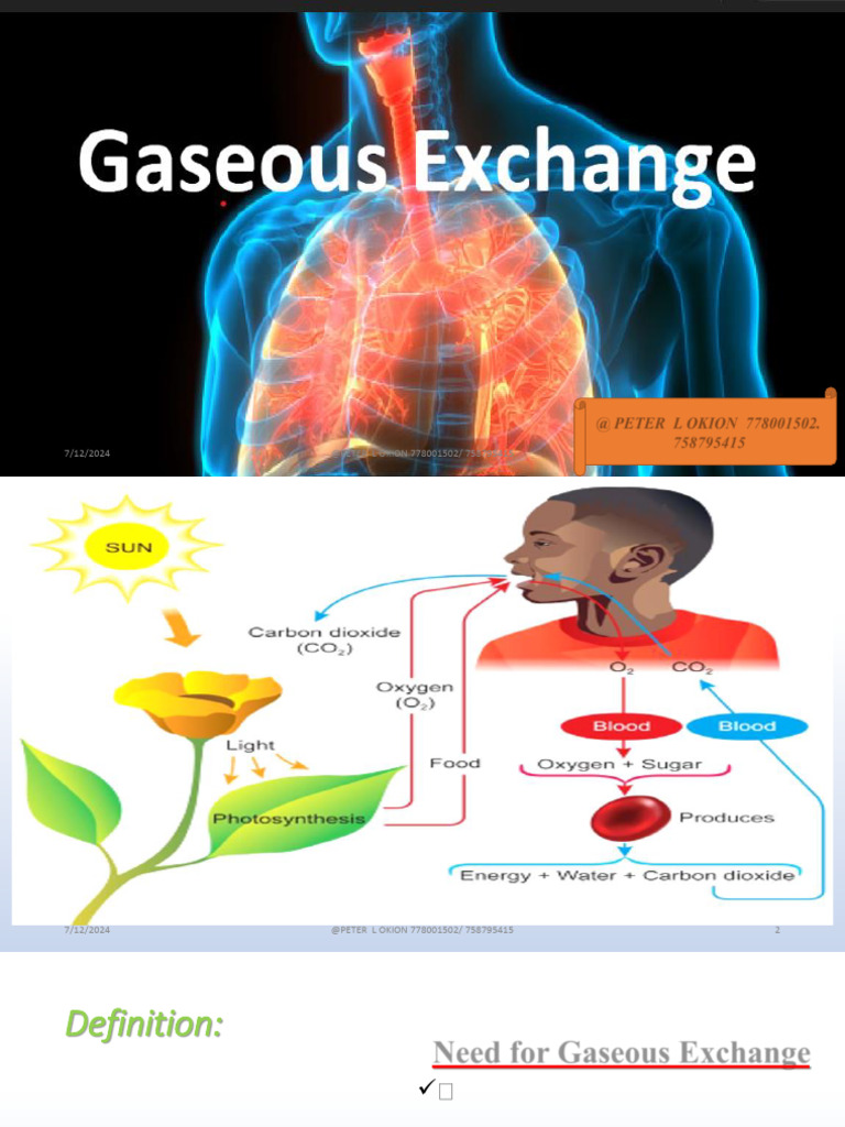 s3 Gaseous Exchange by Tr. Okion | PDF