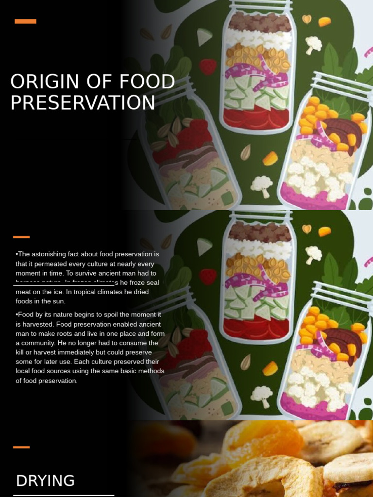 Origin of Food Preservation | PDF