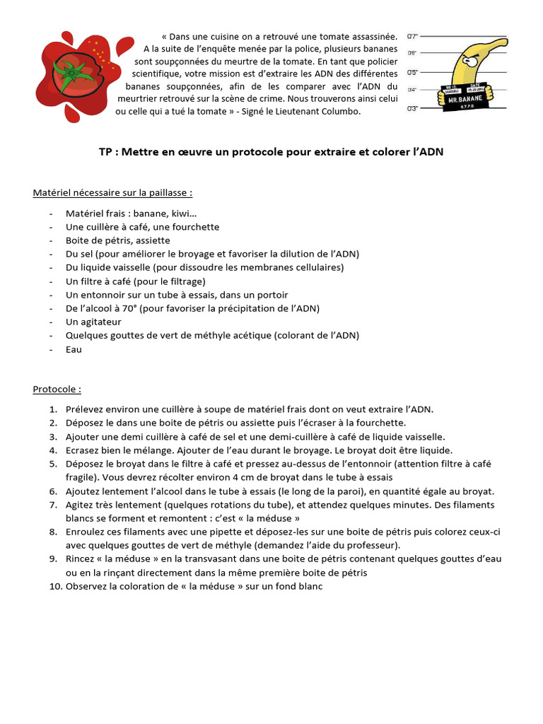 TP Extraction ADN Protocole | PDF