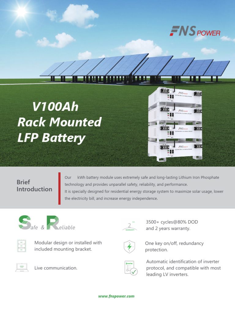 48V100Ah Rack Mounted LFP Battery Module-2 Years Warranty | PDF