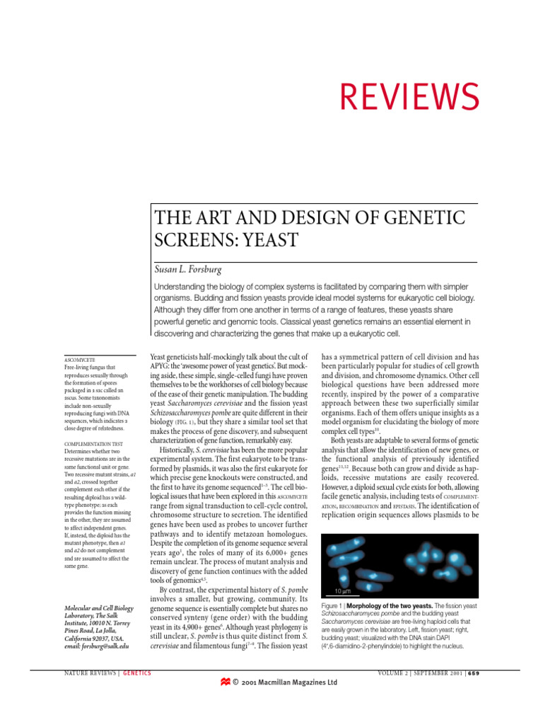 Screening Techiques in Yeast | PDF